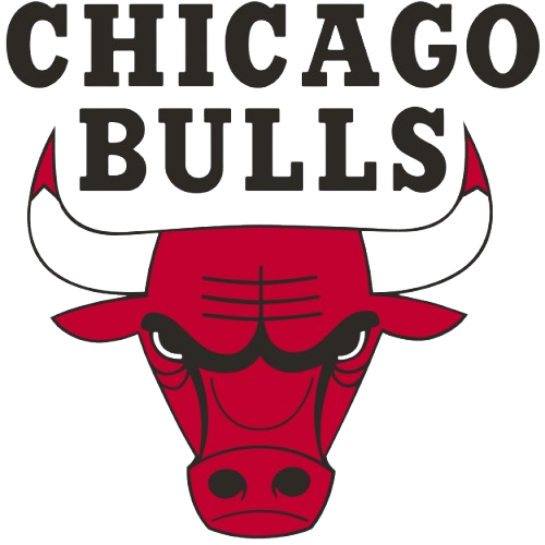 Chicago Bulls Life Size Basketball Car Covers – Hero Covers